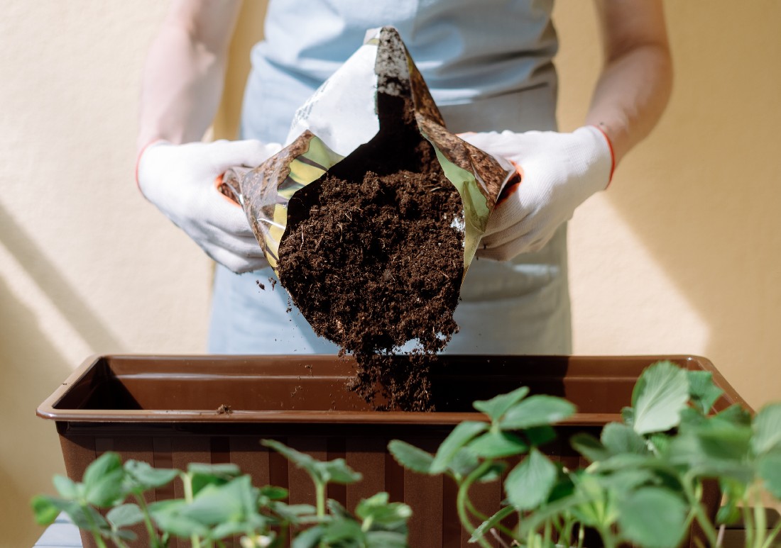 The Best Potting Soils for Proper Plant Nutrition • Better Lawns and ...
