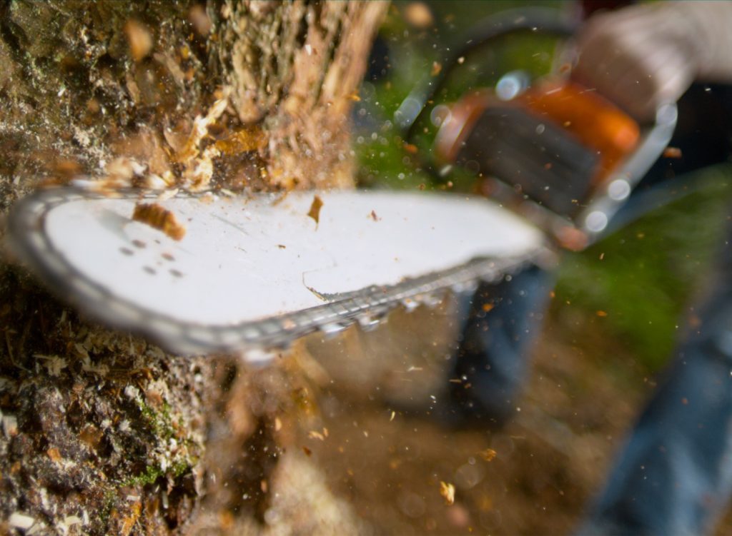 Tree Cutting Machine vs. Chainsaw: Which One Is Better? • Better Lawns ...